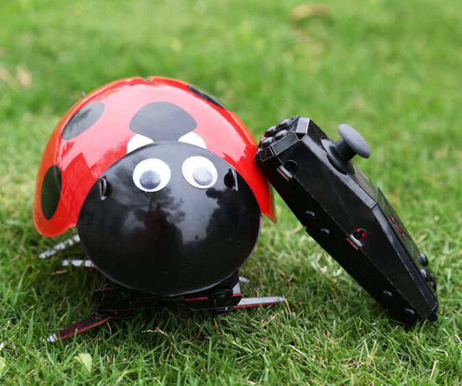Crazy Jittery RC Lady Bug — Techoutlet